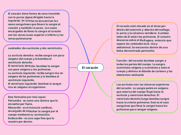 El corazón - Mind Map